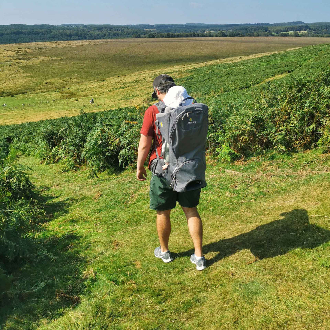 Carrier Backpacks | Baby Carrier Backpacks | LittleLife