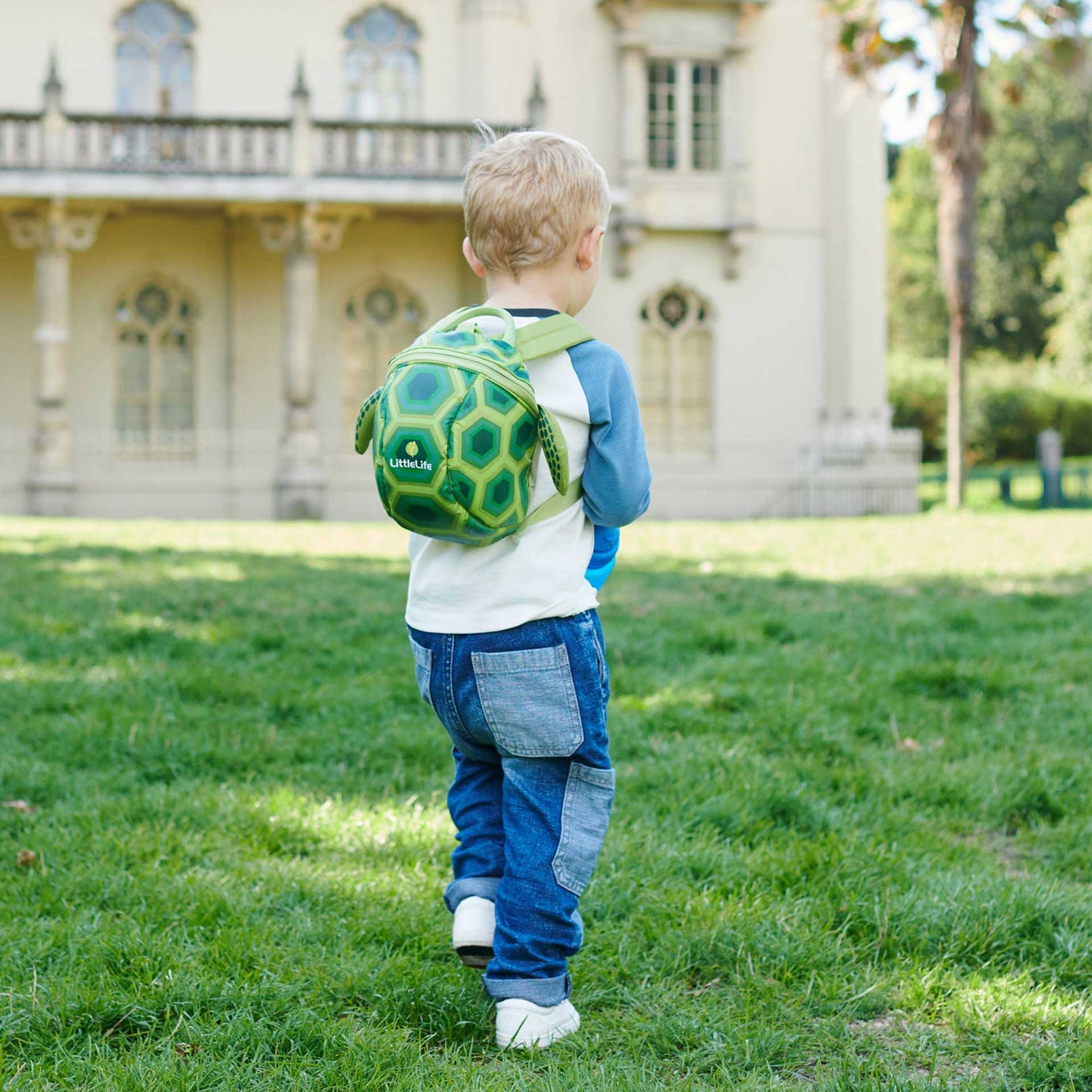 Turtle Backpack with Rein | Toddler Backpacks | LittleLife