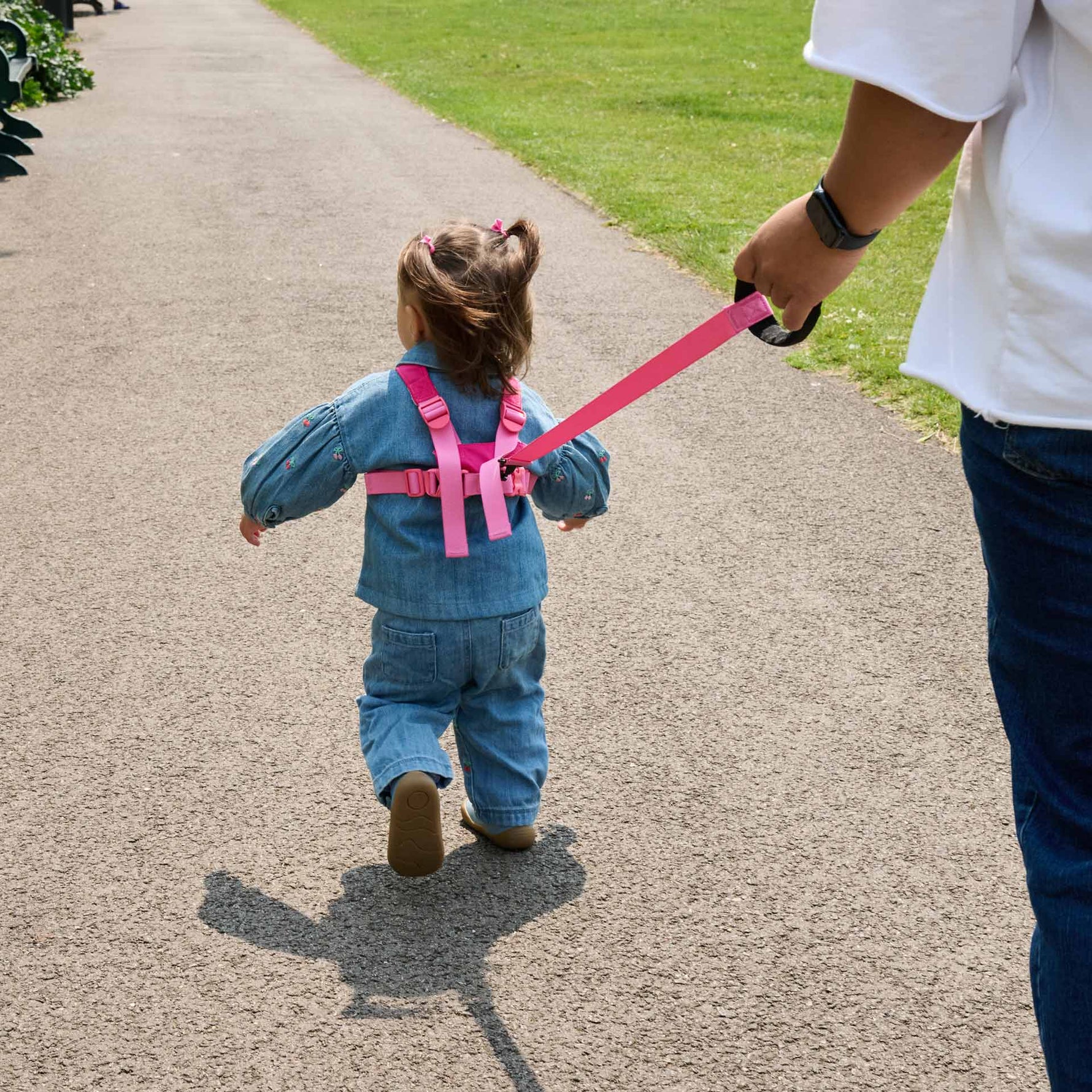 Reins for Toddlers | Baby Reins | LittleLife