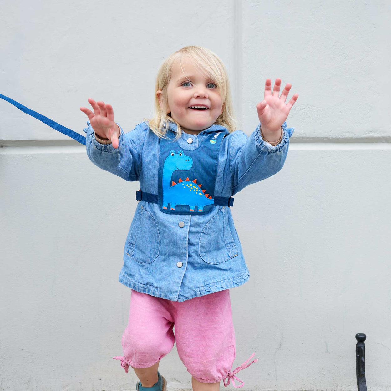Reins for Toddlers | Baby Reins | LittleLife