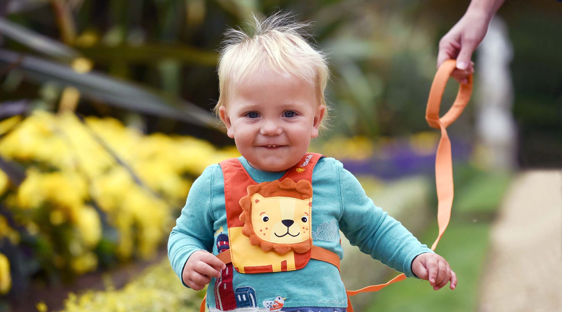 Reins for Toddlers | Baby Reins | LittleLife