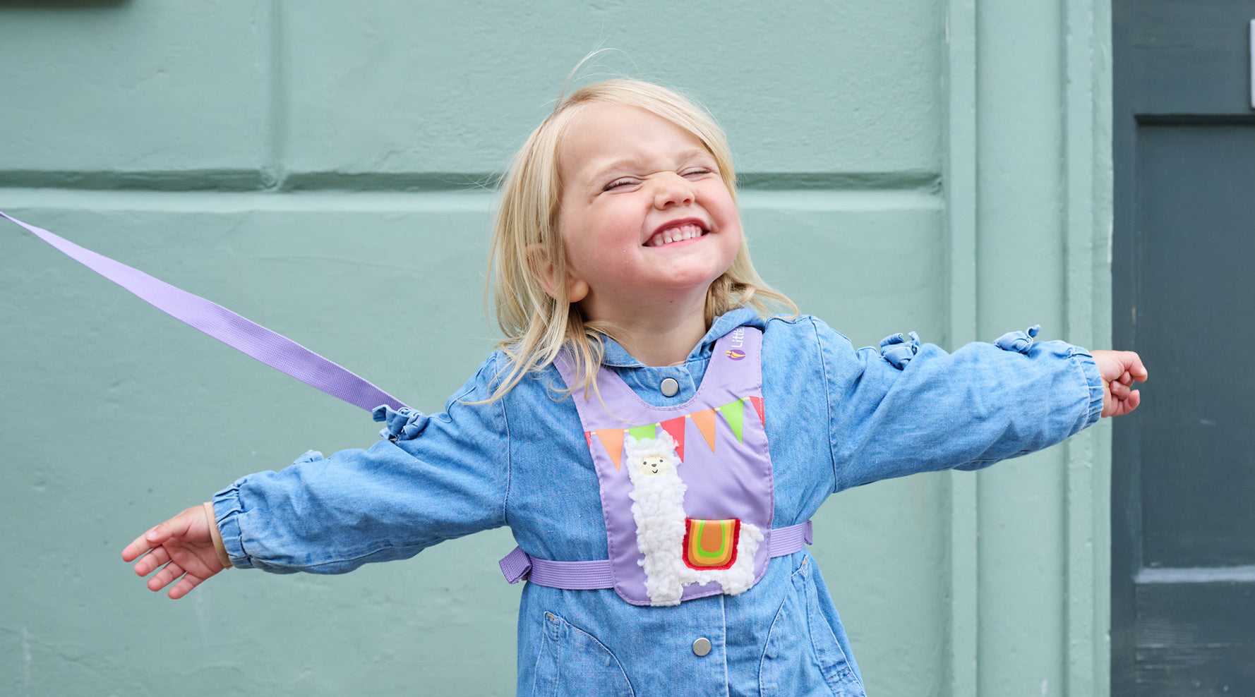 Reins for Toddlers | Baby Reins | LittleLife