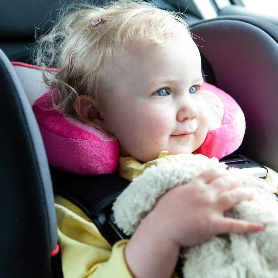 Baby Car Accessories | Car Seat Accessories | LittleLife